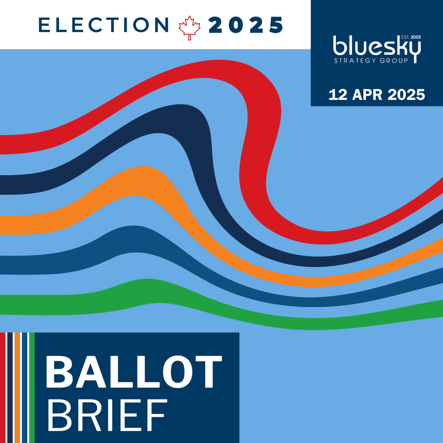 Home - Bluesky Strategy Group