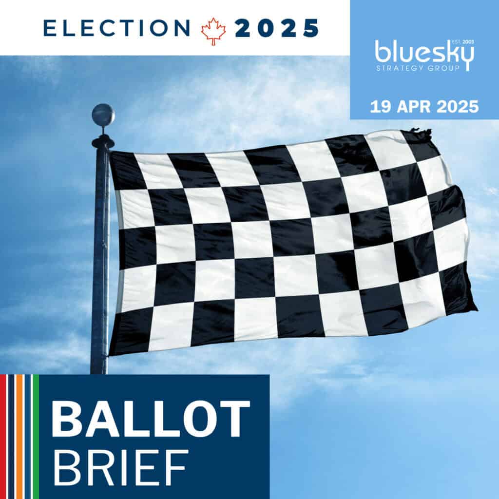 Home - Bluesky Strategy Group