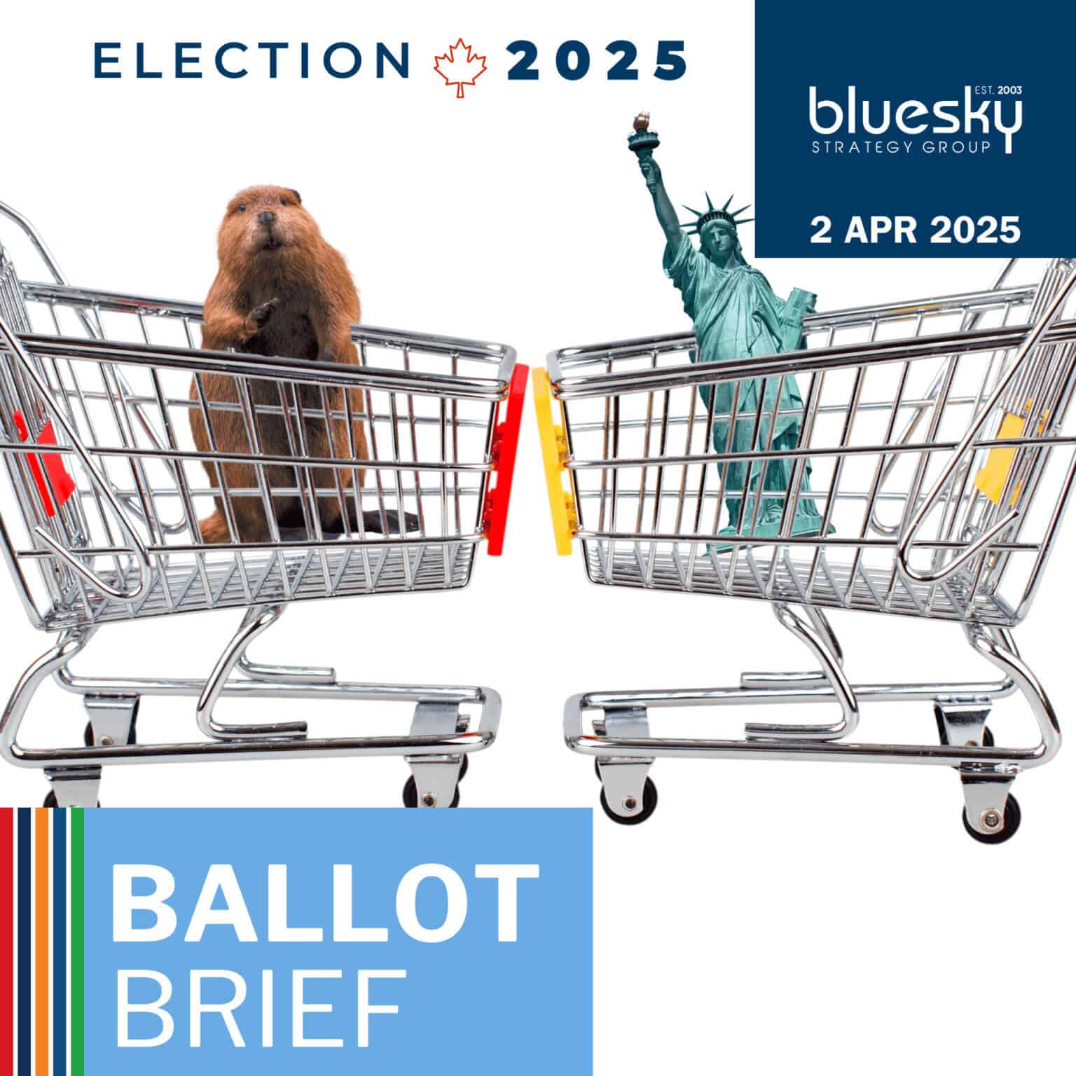 Home - Bluesky Strategy Group