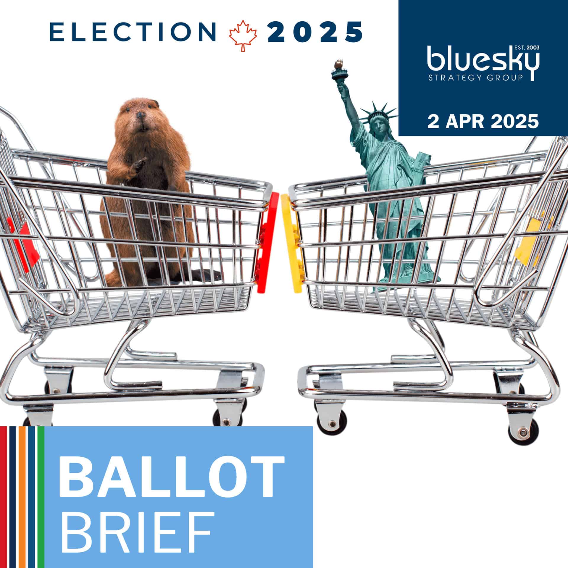 Home - Bluesky Strategy Group