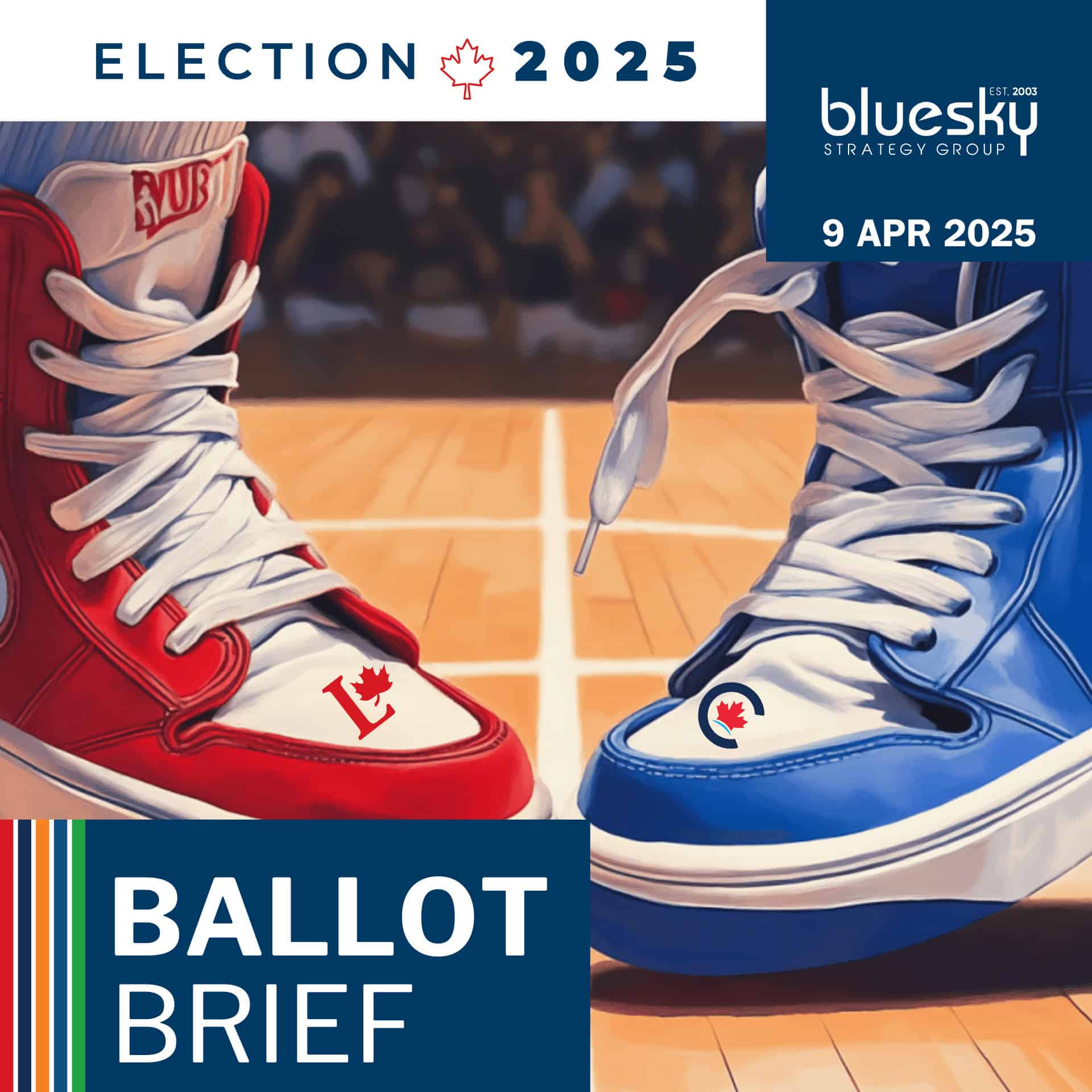 Insights - Bluesky Strategy Group