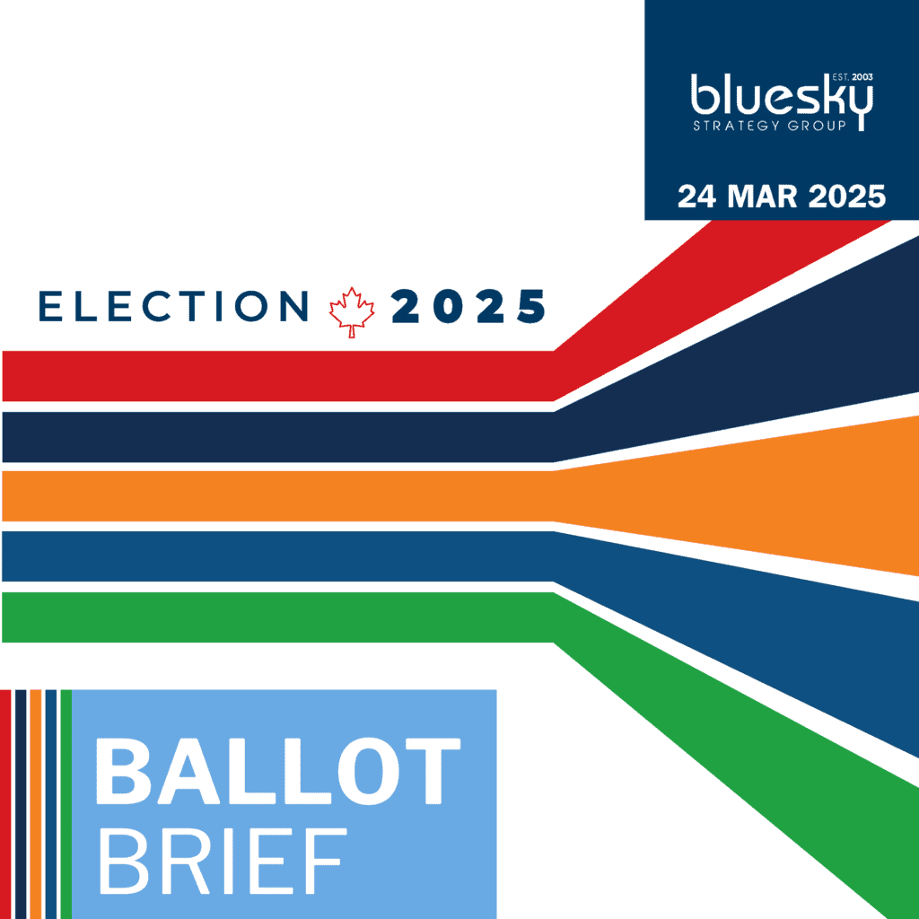 Home - Bluesky Strategy Group