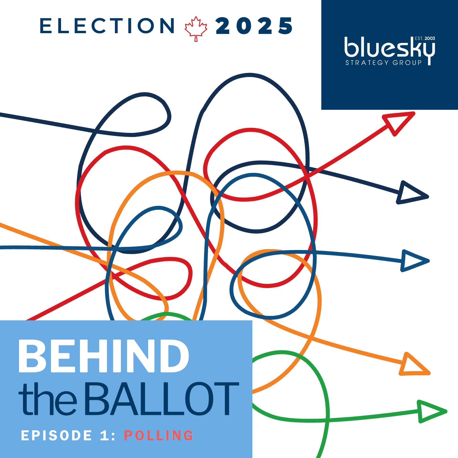 Insights - Bluesky Strategy Group