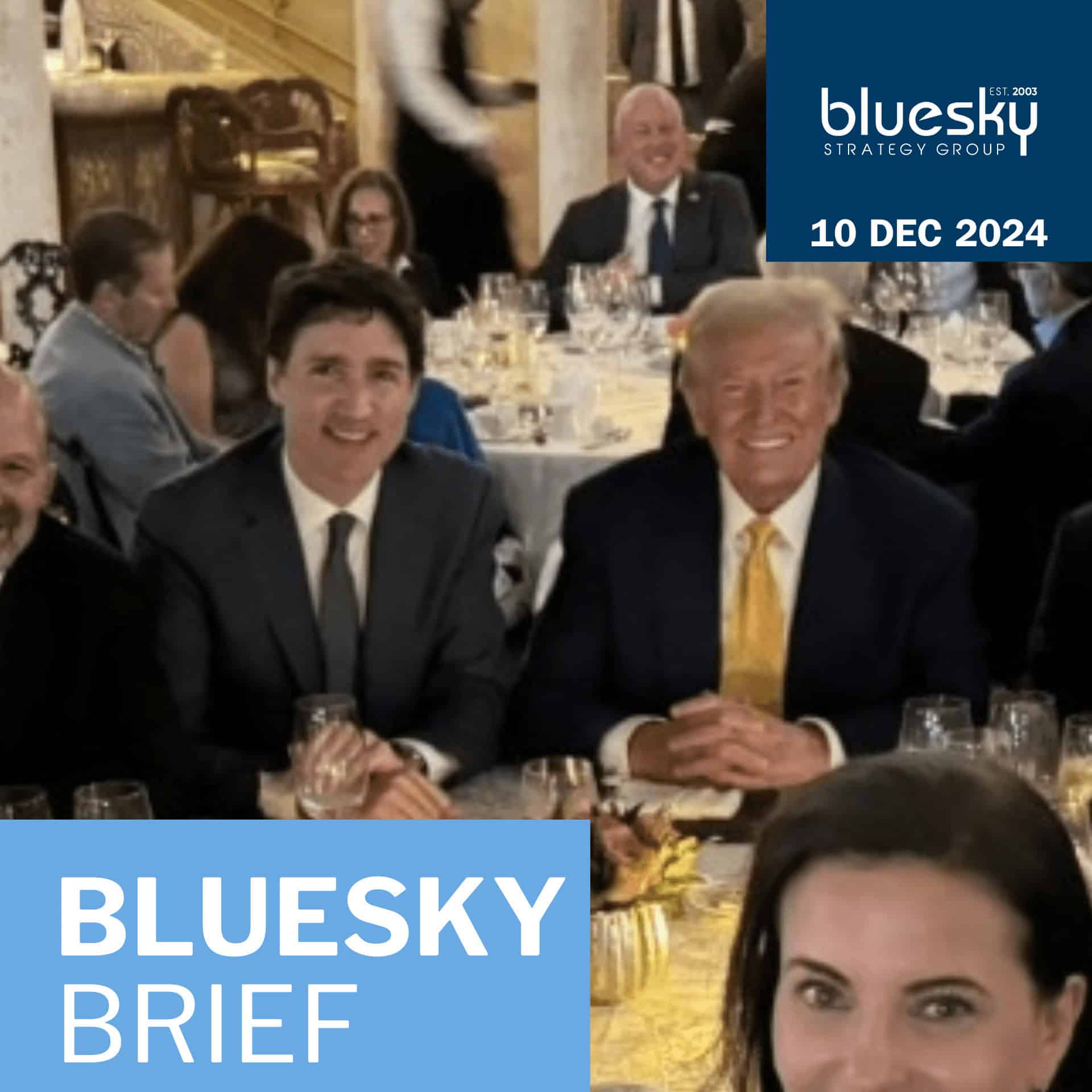 Home - Bluesky Strategy Group